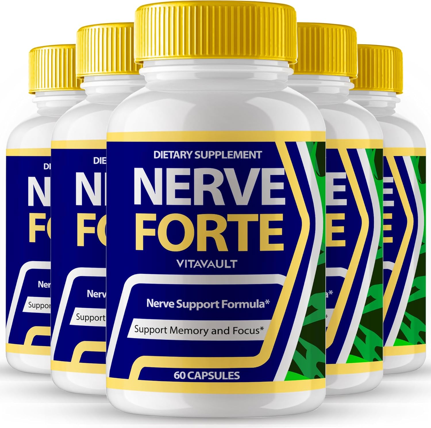 Nerve Forte Brain Supplements for Memory and Focus - Advanced Formula ...